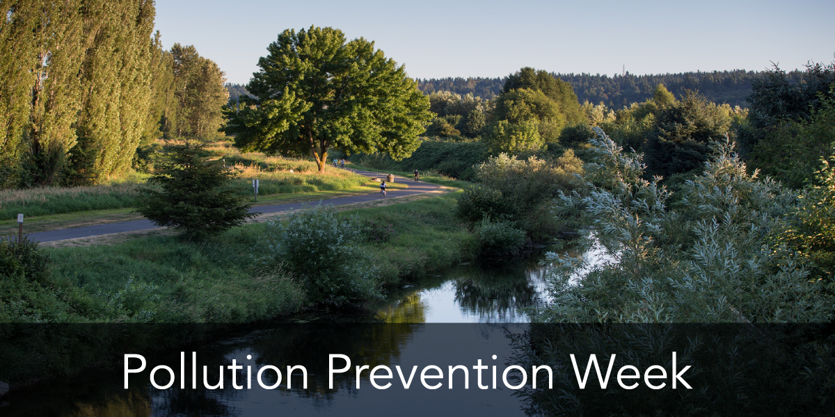 Learn How We Are Enhancing Pedestrian Safety, Share What Makes Redmond ...