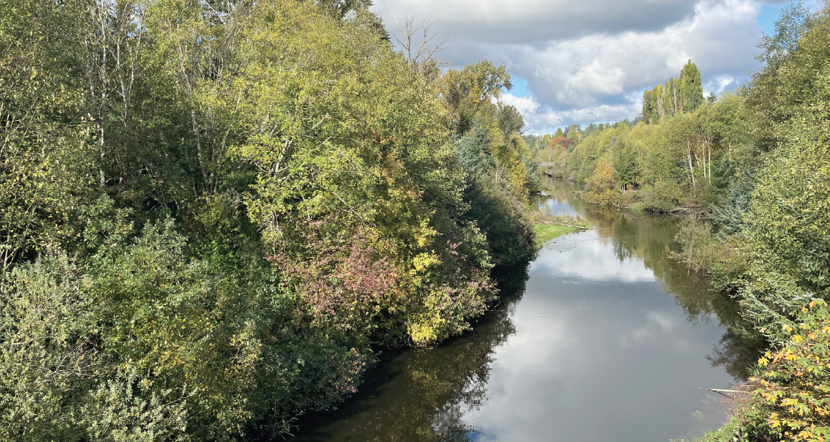 Honoring Older Americans Month, Celebrate Bike Everywhere Month, Help ...