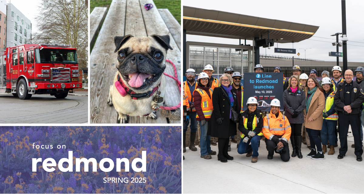 View Our Improved City Website, Share Your Thoughts on How Redmond Can ...