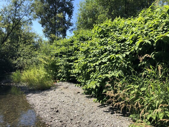 How Drainage Utility is working to save a building from the brink