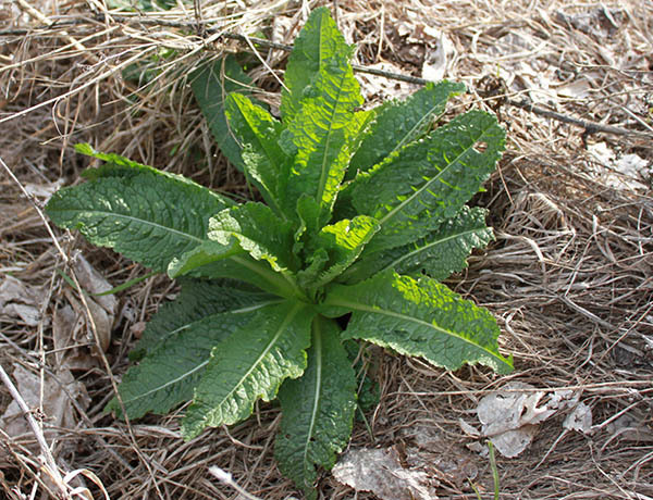 Make sure it's all treats and no tricks this fall!