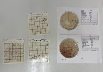 Spotting bacteria in Skagit's waters as rainy season hits