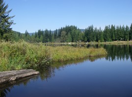 2022 Volunteer Newsletter