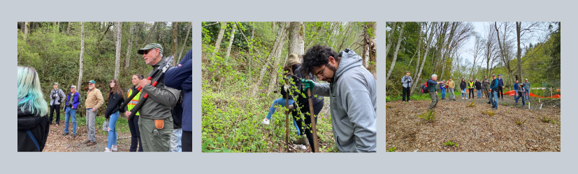 Healthy Forest Project Midsummer Retrospective
