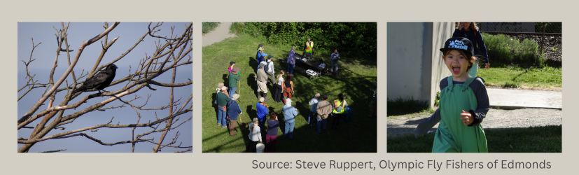 Healthy Forest Project Midsummer Retrospective
