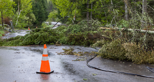 Enews – Beat the Heat, Meet Our K9 Team, Report Concerns to SVExpress ...