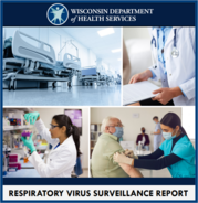 Weekly Respiratory Report: Week 43, ending 10/26/24