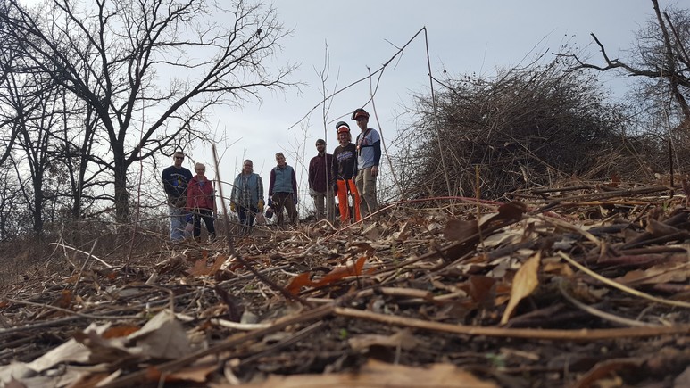 Waubesa Wetlands Workday: Cutting and treating brush Nov 5, 1-4:30
