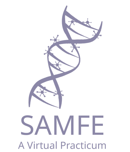 SANE Virtual Practicum Now Available